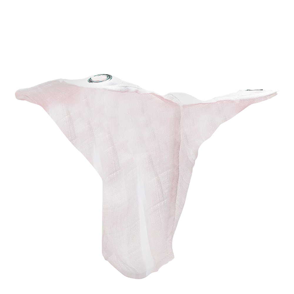 Eight treasure rice - Bā bǎo fàn - Cervera